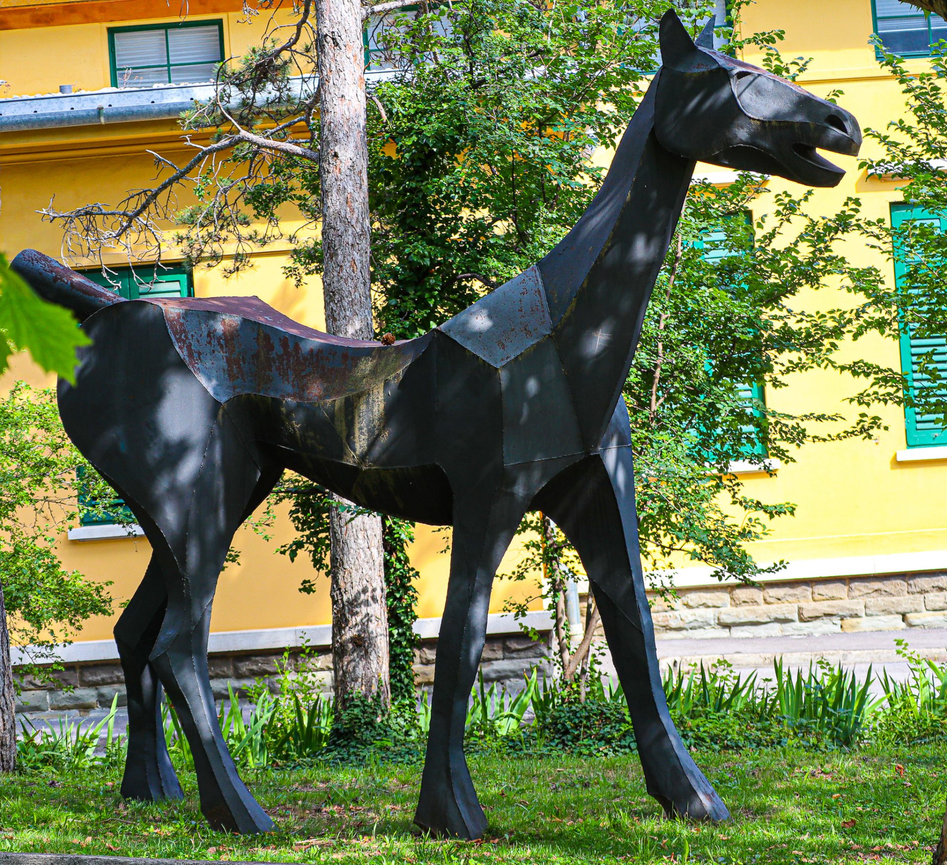 Freedom and Flowers: Lessons from Parco San Giovanni - InTrieste