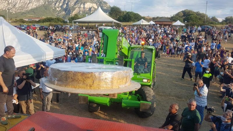Pecorino Cheese Makes Guinness Book of World Records in Sardinia ...