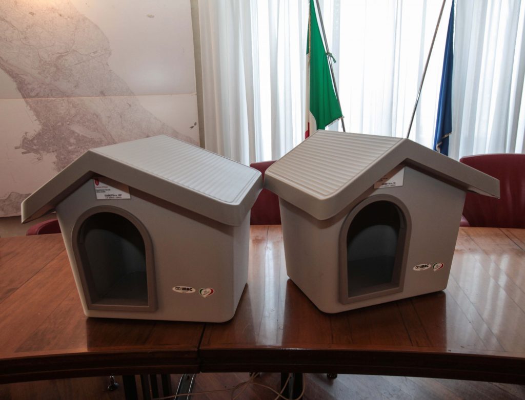 The Disappearing Cats Of Trieste And Why You Should Adopt One - InTrieste