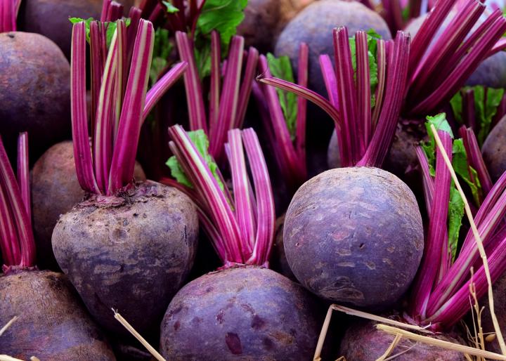 Beetroot Barcolini Rossi: a New Trieste Recipe - InTrieste