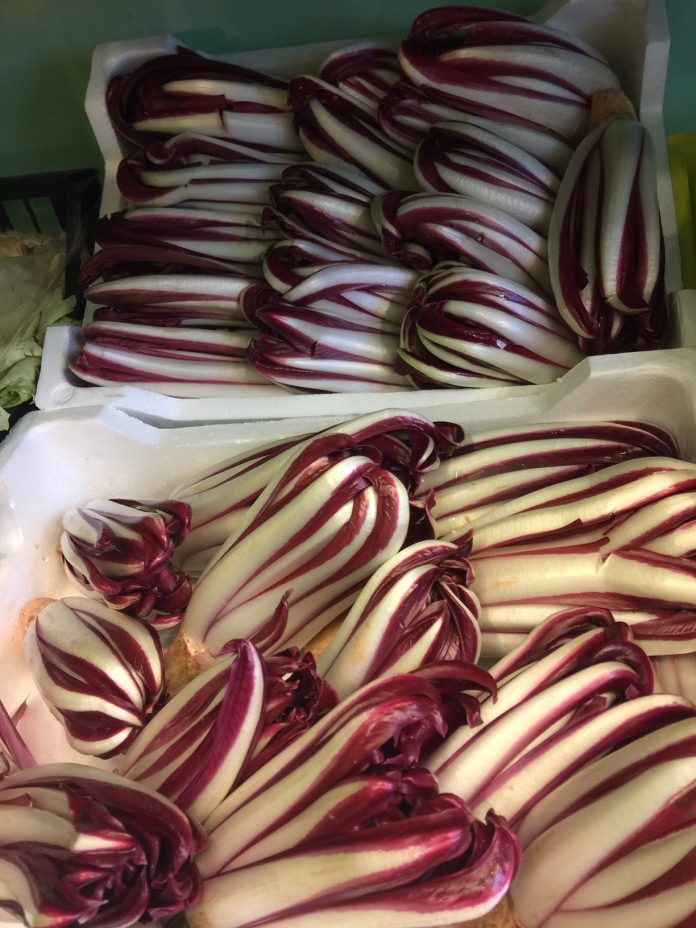The Wondrous Life of Radicchio Rosso di Treviso: From Field to Your ...