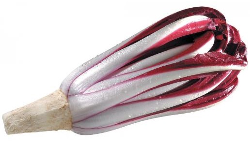 The Wondrous Life of Radicchio Rosso di Treviso: From Field to Your ...