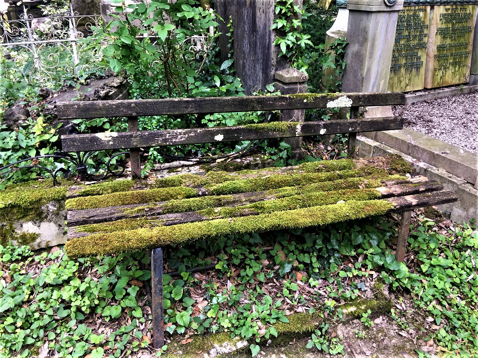 Trieste's Old Jewish Cemetery: the Secret Garden of Eternity - InTrieste