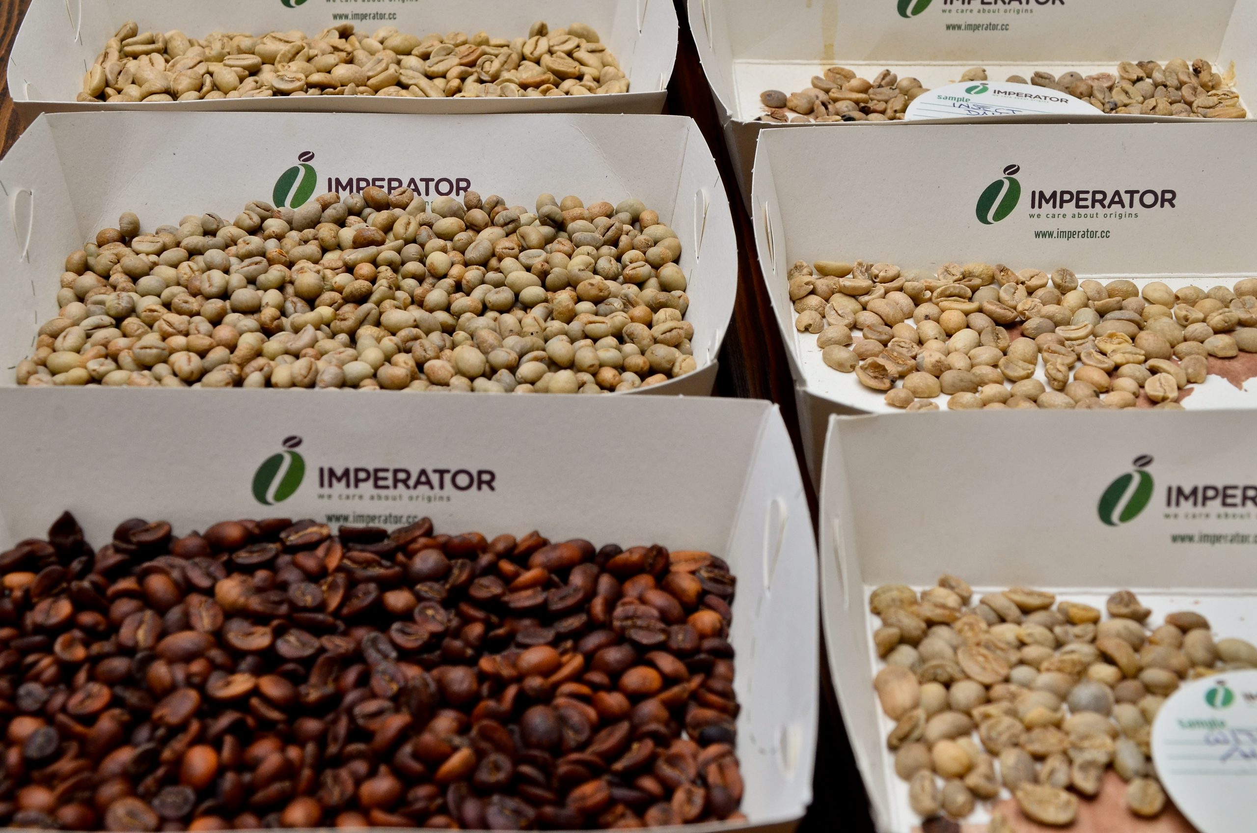 Bloom Coffee School: The Art of Specialty Coffee From Bean To Cup ...