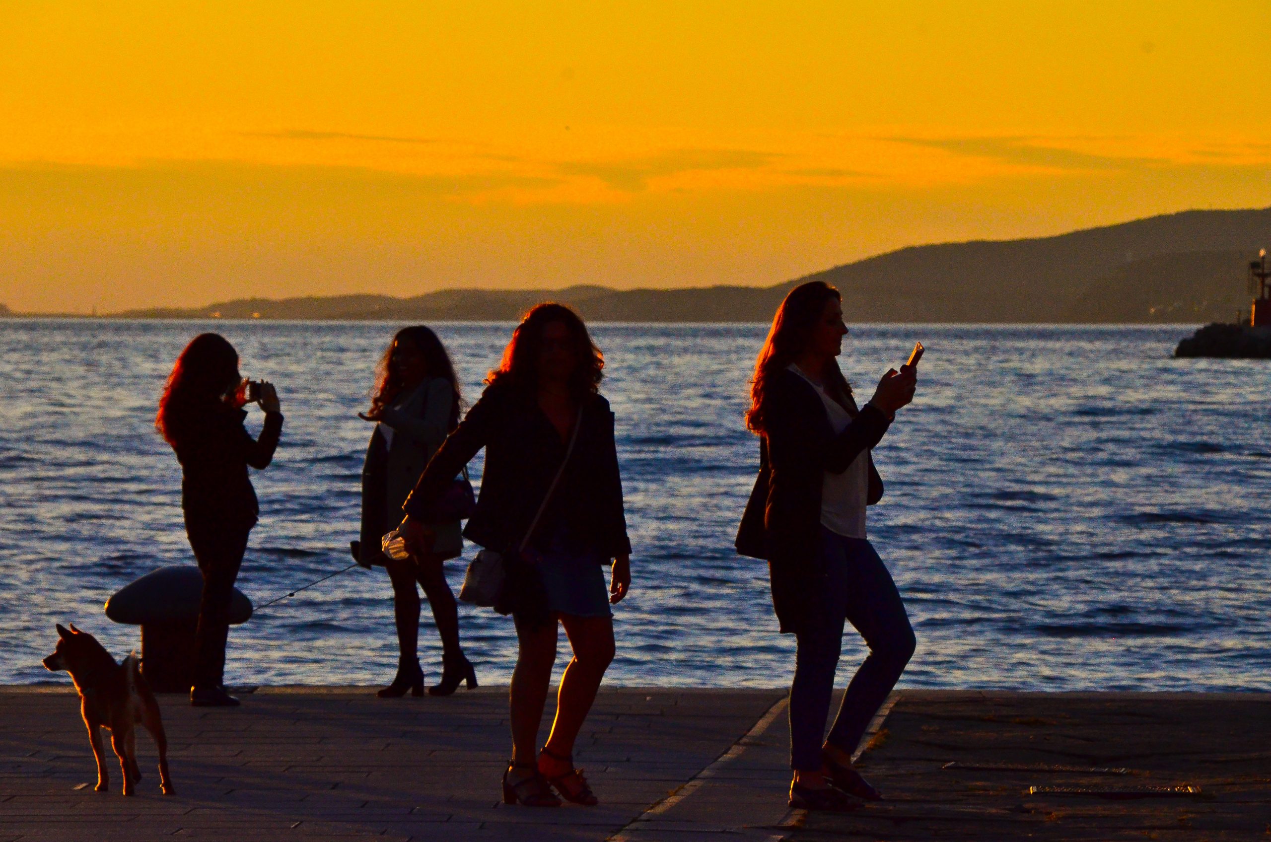 What Constitutes A Perfect Night In Trieste? - InTrieste