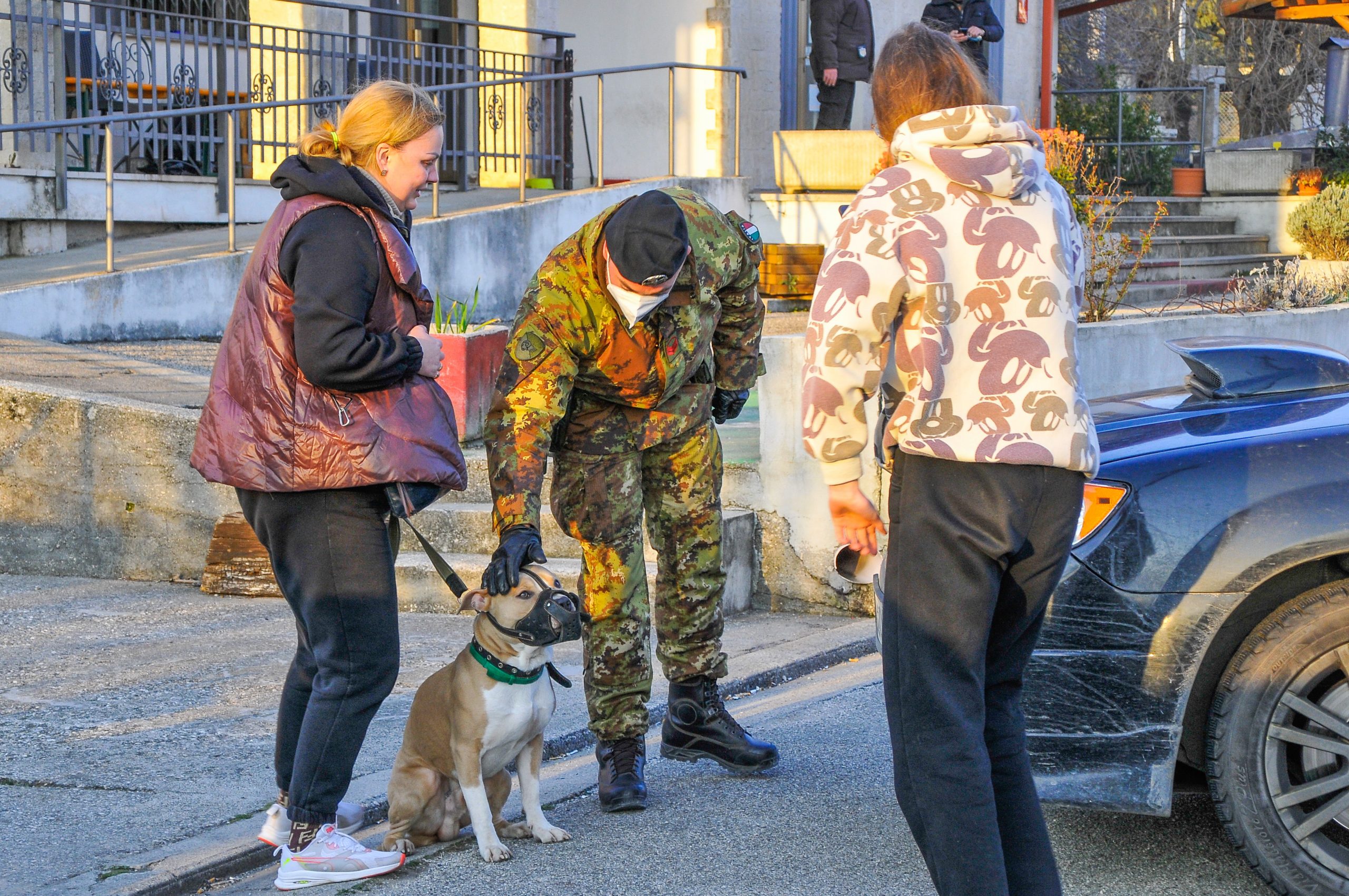 Extension of Stay Permits for Ukrainian Citizens in Italy: Effortless ...