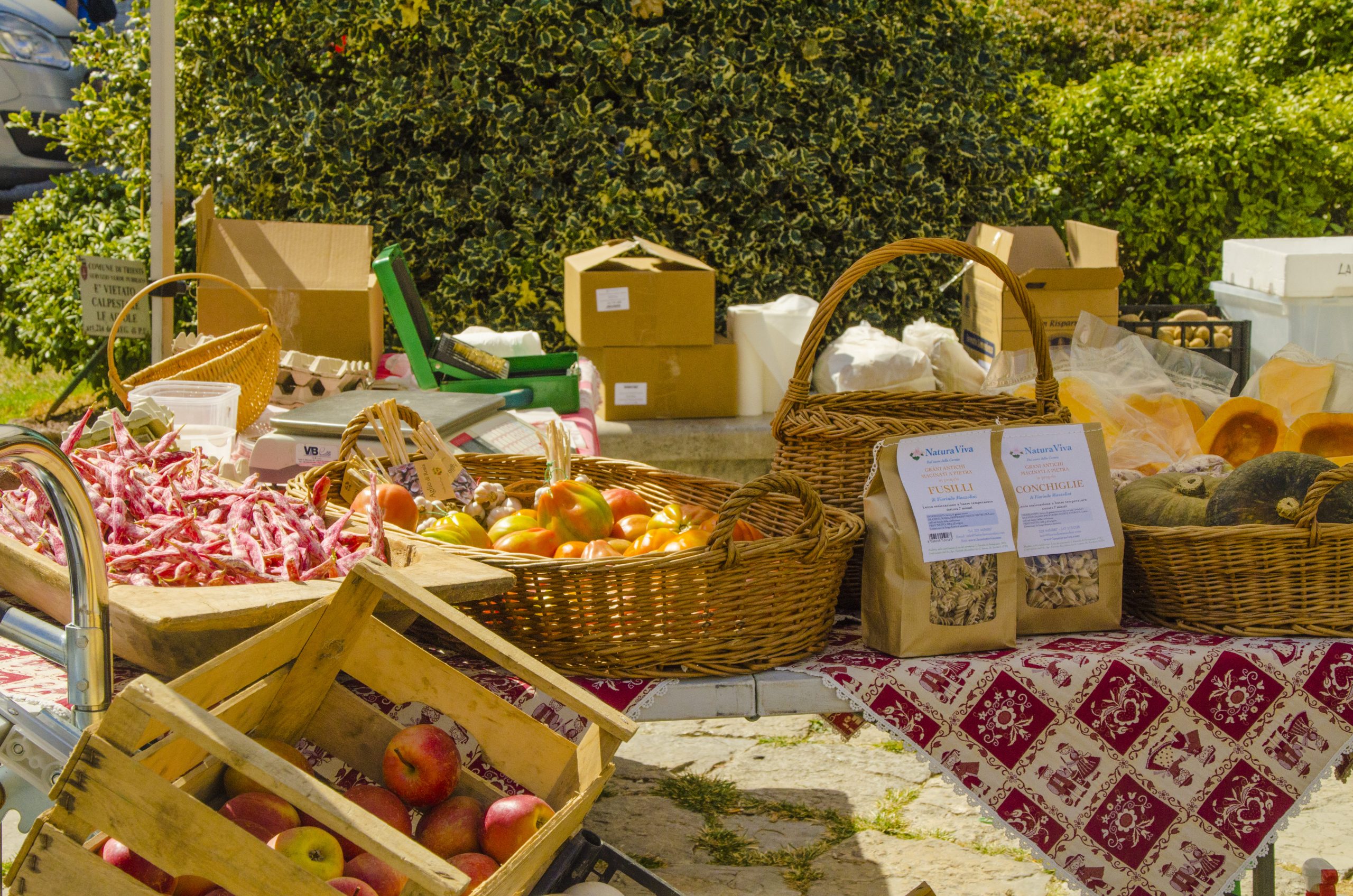 Innovative Project Unveiled: Trieste's Commerce District Aims to ...