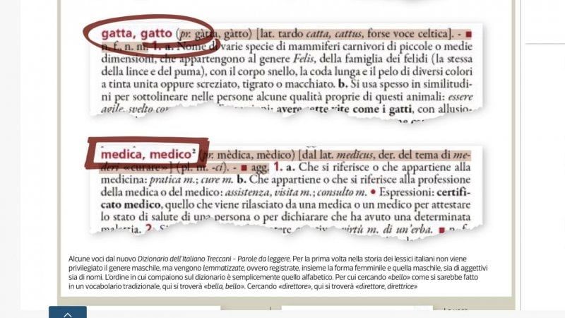 Treccani Dictionary Tackles Gender Discrimination With 'Revolutionary ...