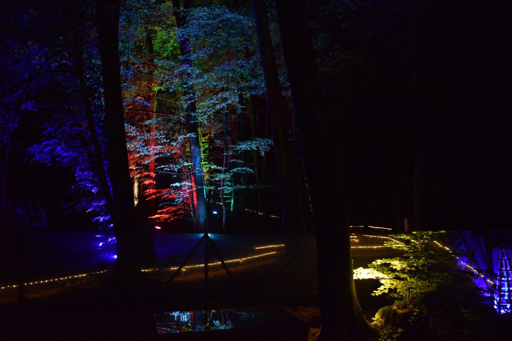 A Natural Immersion At Nightfall: Ampezzo’s Lumina Milia - InTrieste