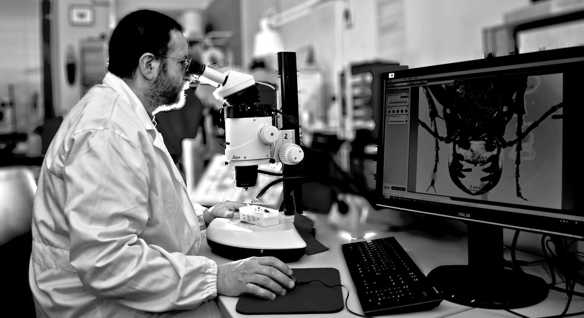 Creepy Crawlies? Yes, Please! Meet Andrea Colla, The Man Whose ...