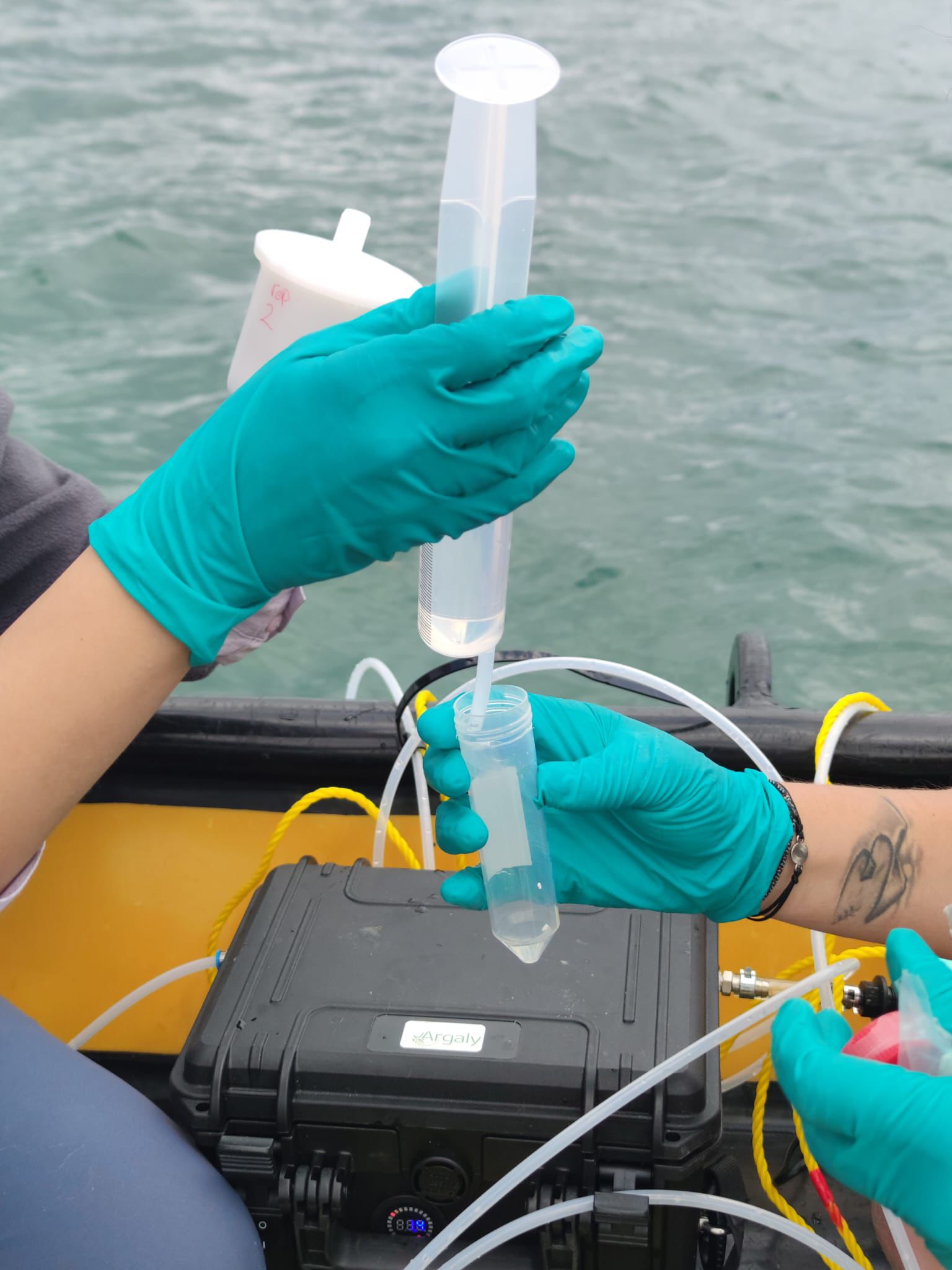 International Expedition Explores Coastal Ecosystems, Docking in ...