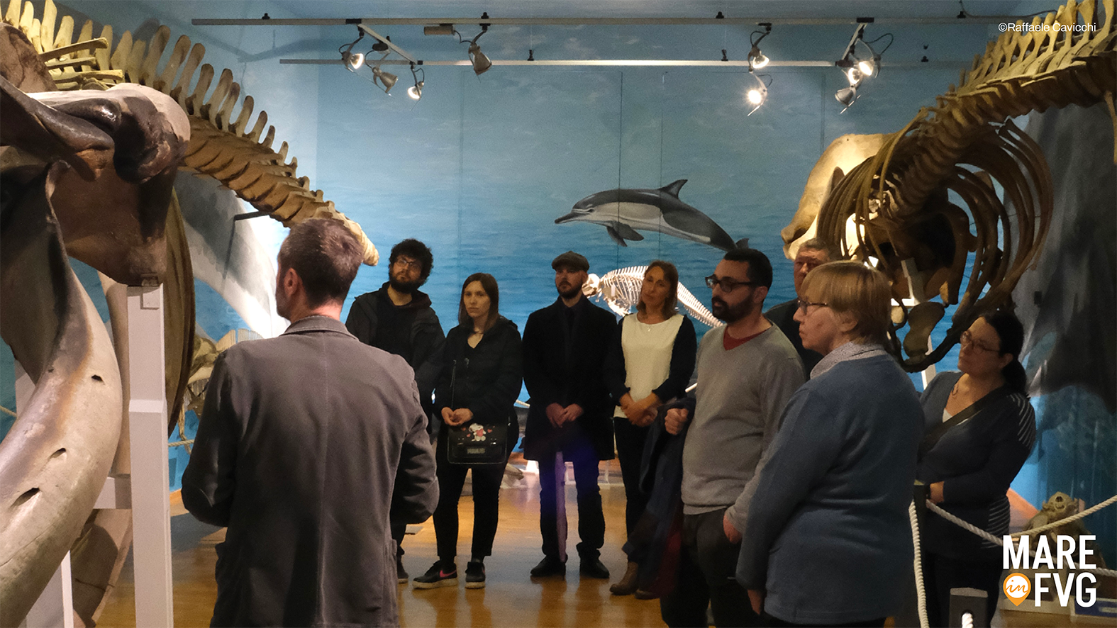 Exploring the History of Life on Earth at Trieste’s Civic Museum of ...