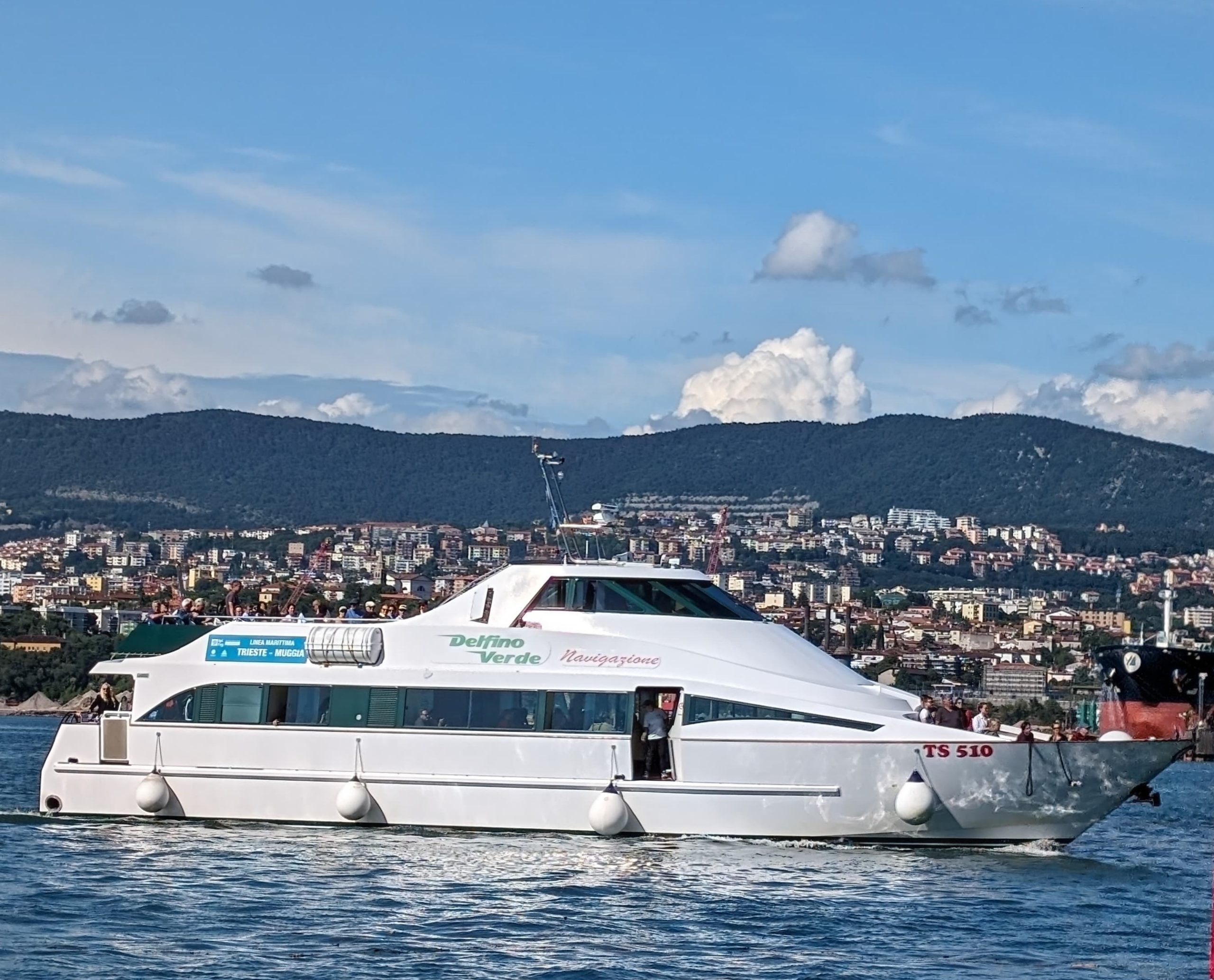 Delfino Verde Suspends Service to Muggia - InTrieste