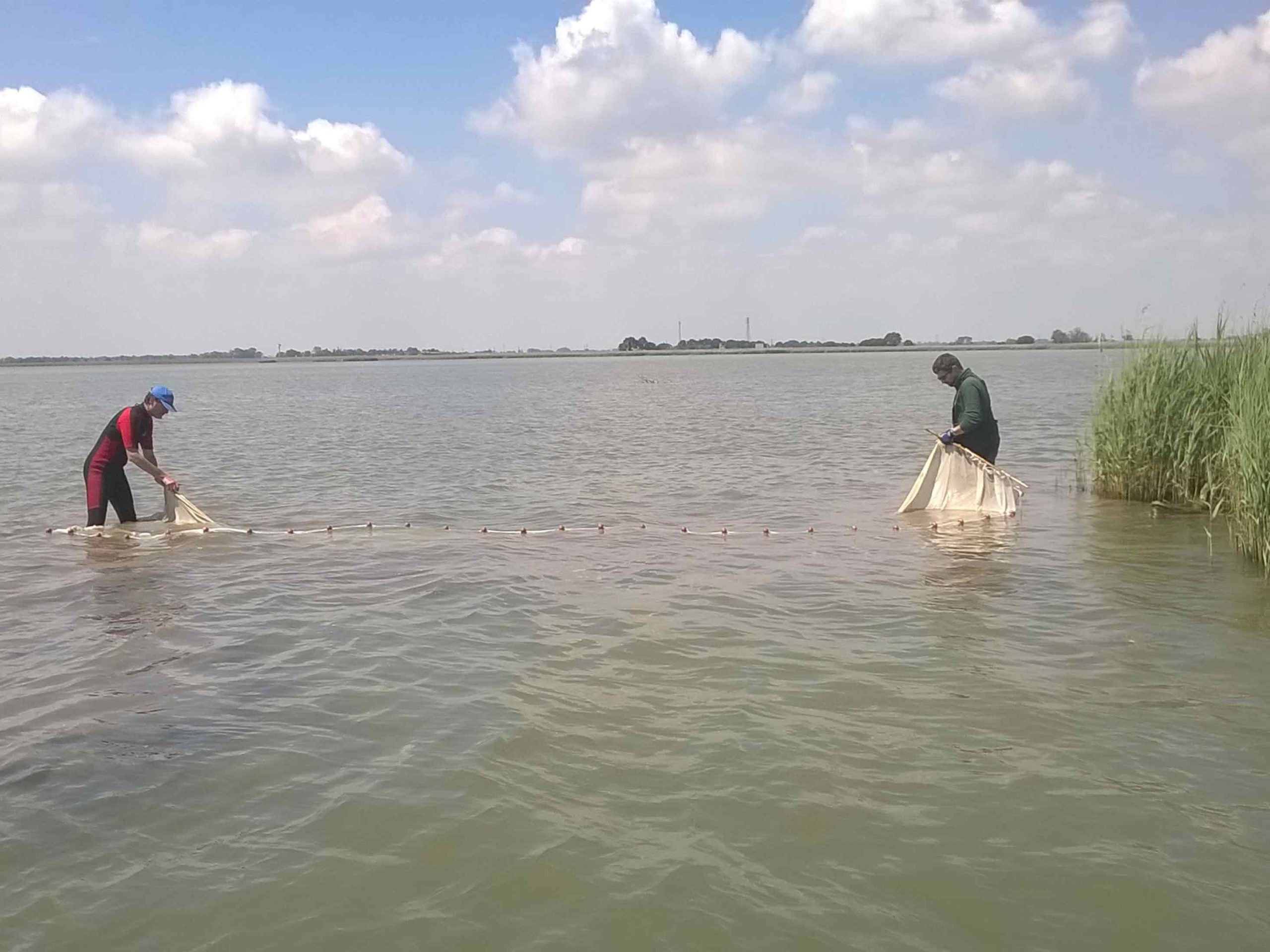 DNA Analysis Unveils Rich Biodiversity in Mediterranean Lagoon - InTrieste