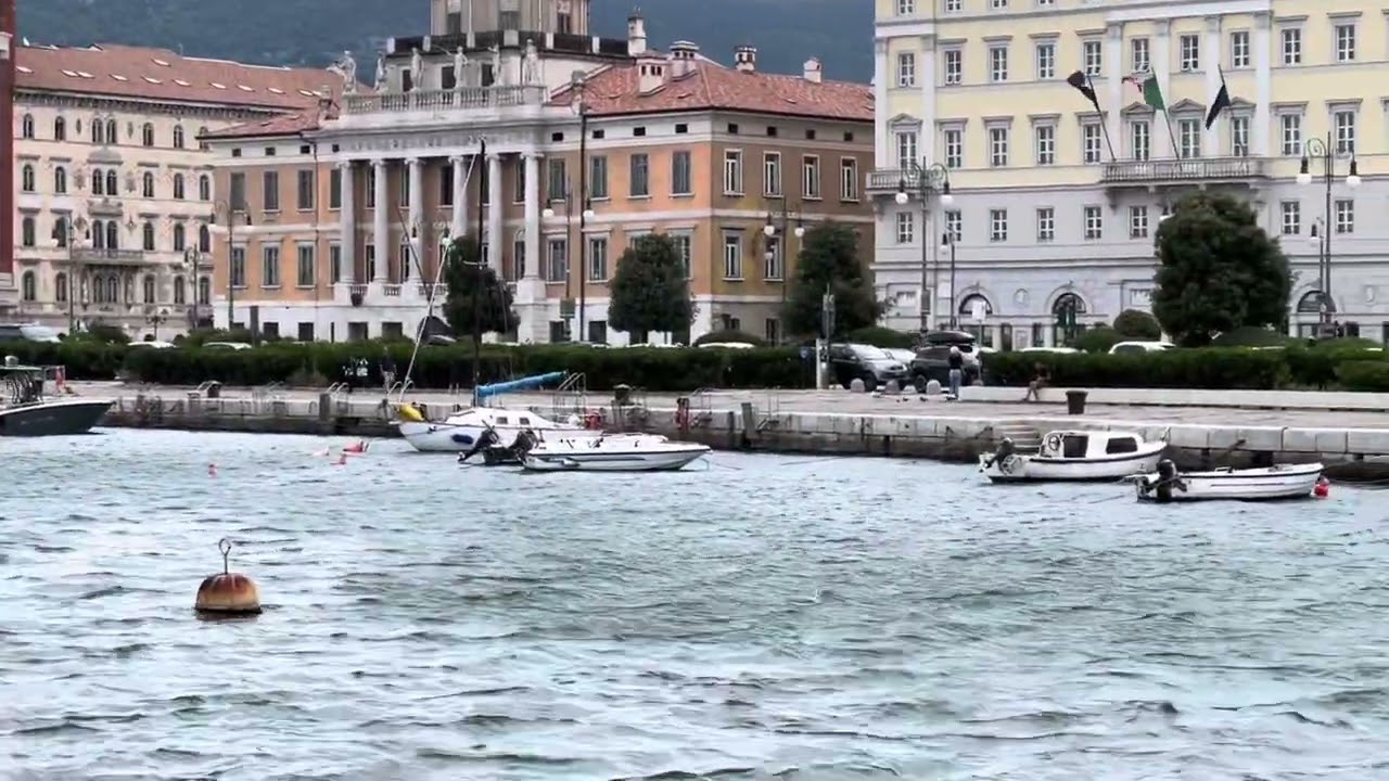 Bora Winds Sweep Mucilage Offshore, but Threat Lingers - InTrieste