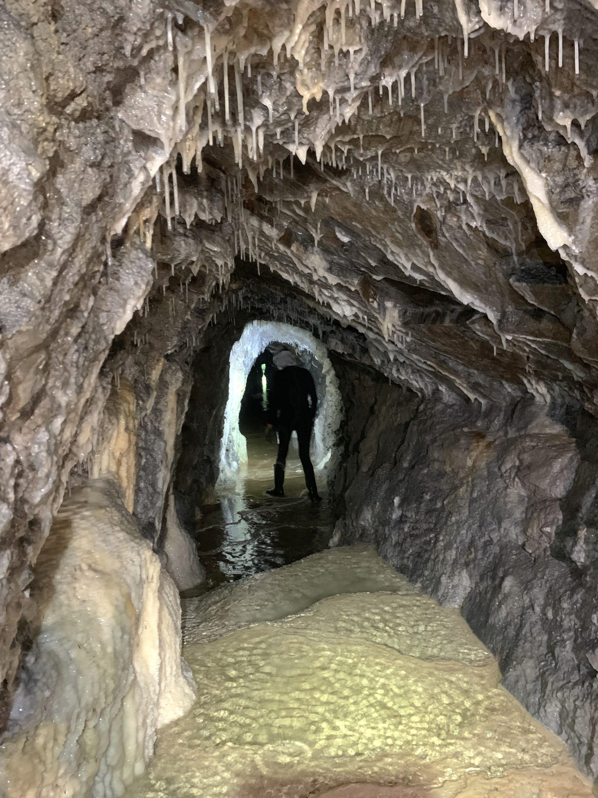 Discovering the Hidden Gem of Trieste: Lower Stena Tunnel - InTrieste