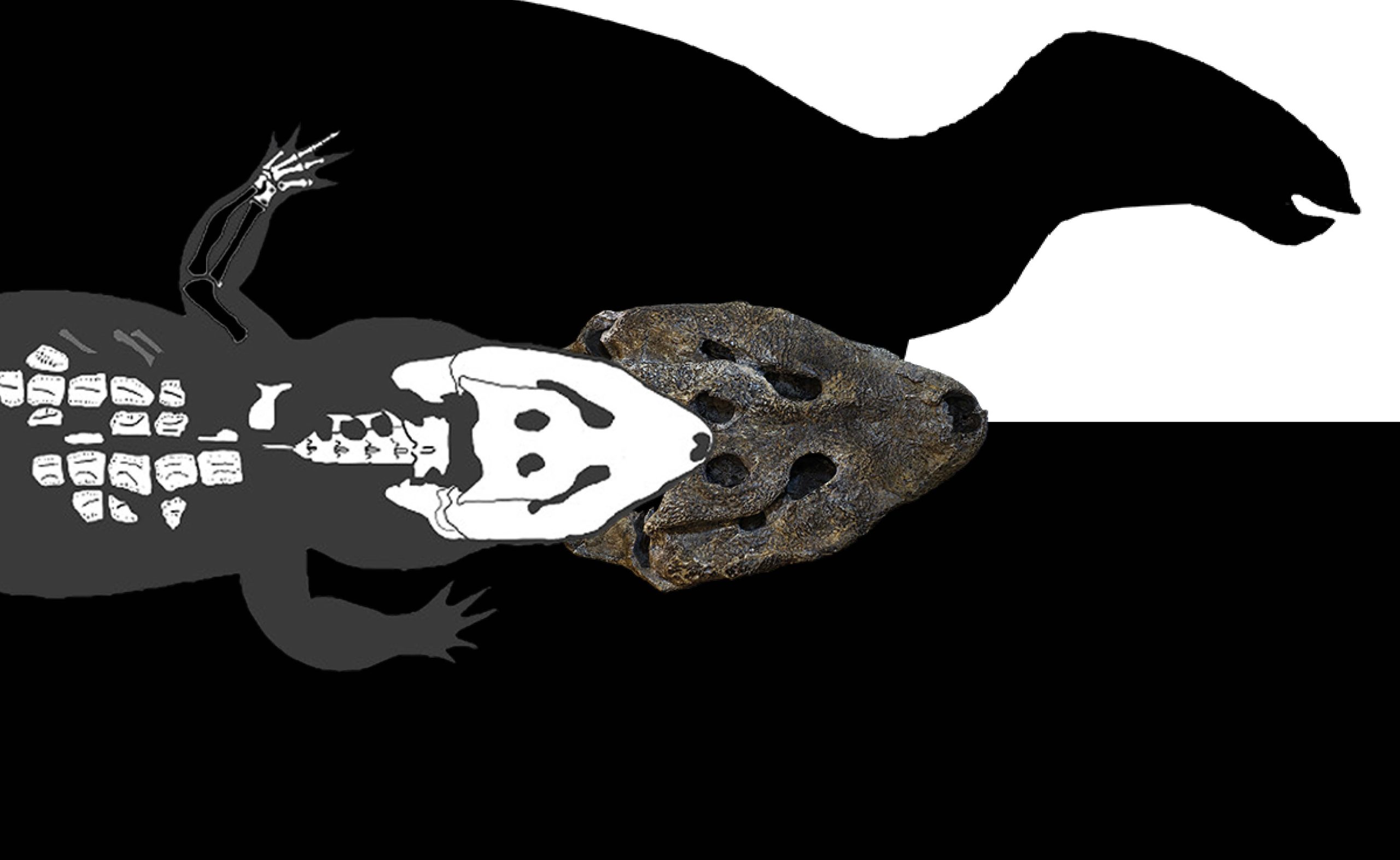 Unearthing the Past: New Fossil Discoveries Rewrite Italy’s Prehistoric ...