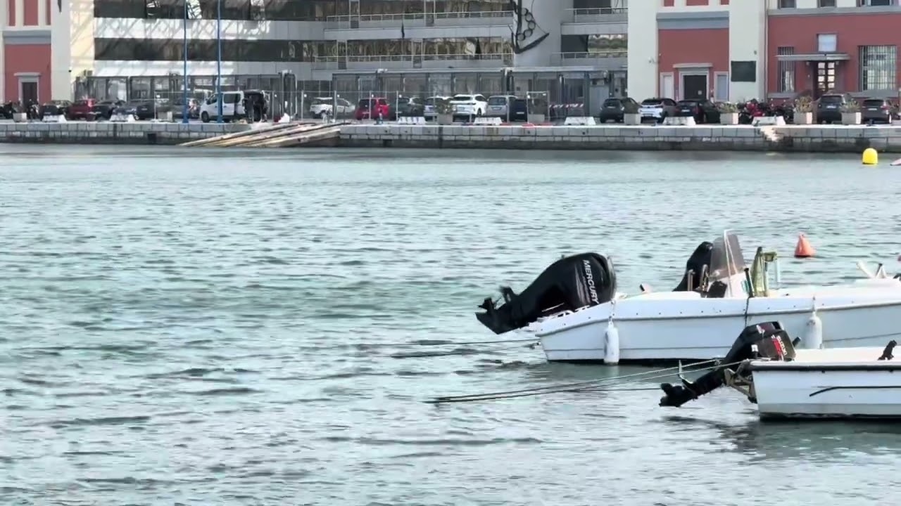 Bora Winds Give Way to Sunshine Along FVG - InTrieste